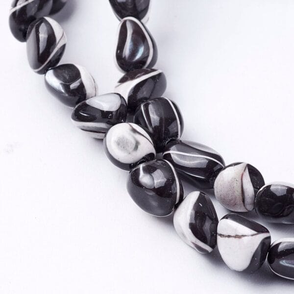 Contrasting Black and White Natural Dyed Shell Beads